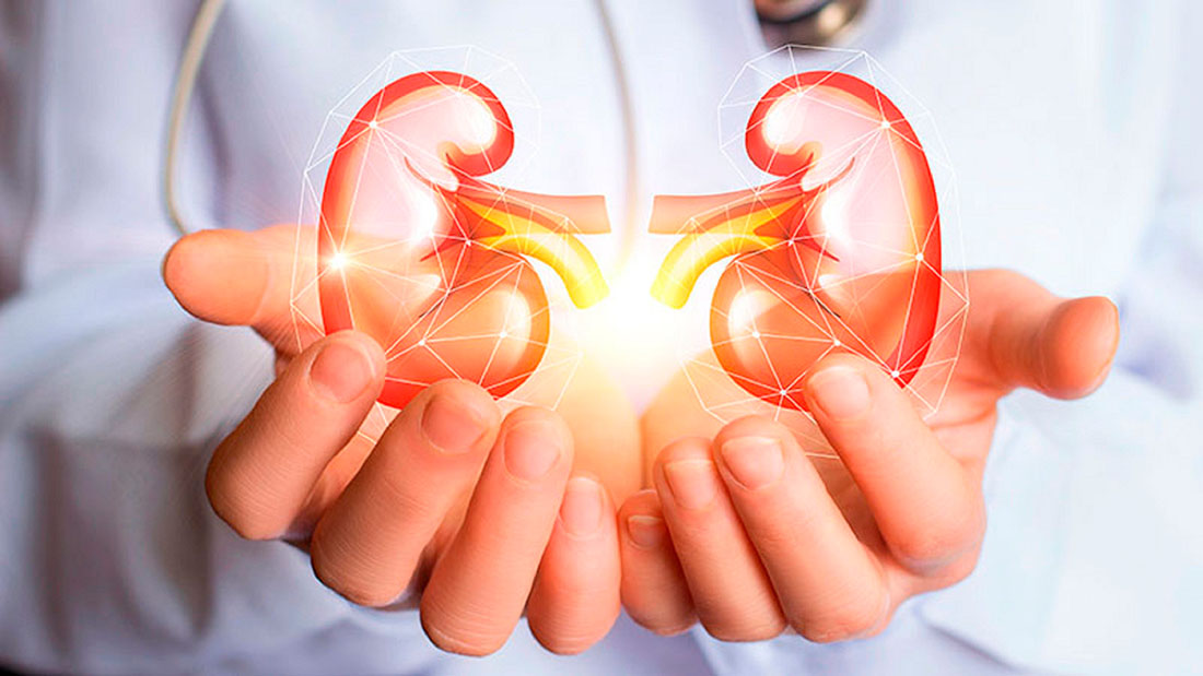 Dia Mundial do Rim: entenda os riscos da doença renal crônica e saiba ...